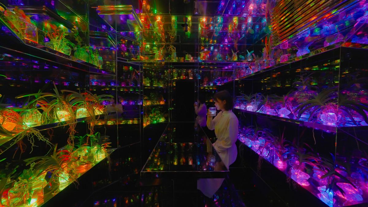 Nursery Lamps in Spontaneous Order | teamLab