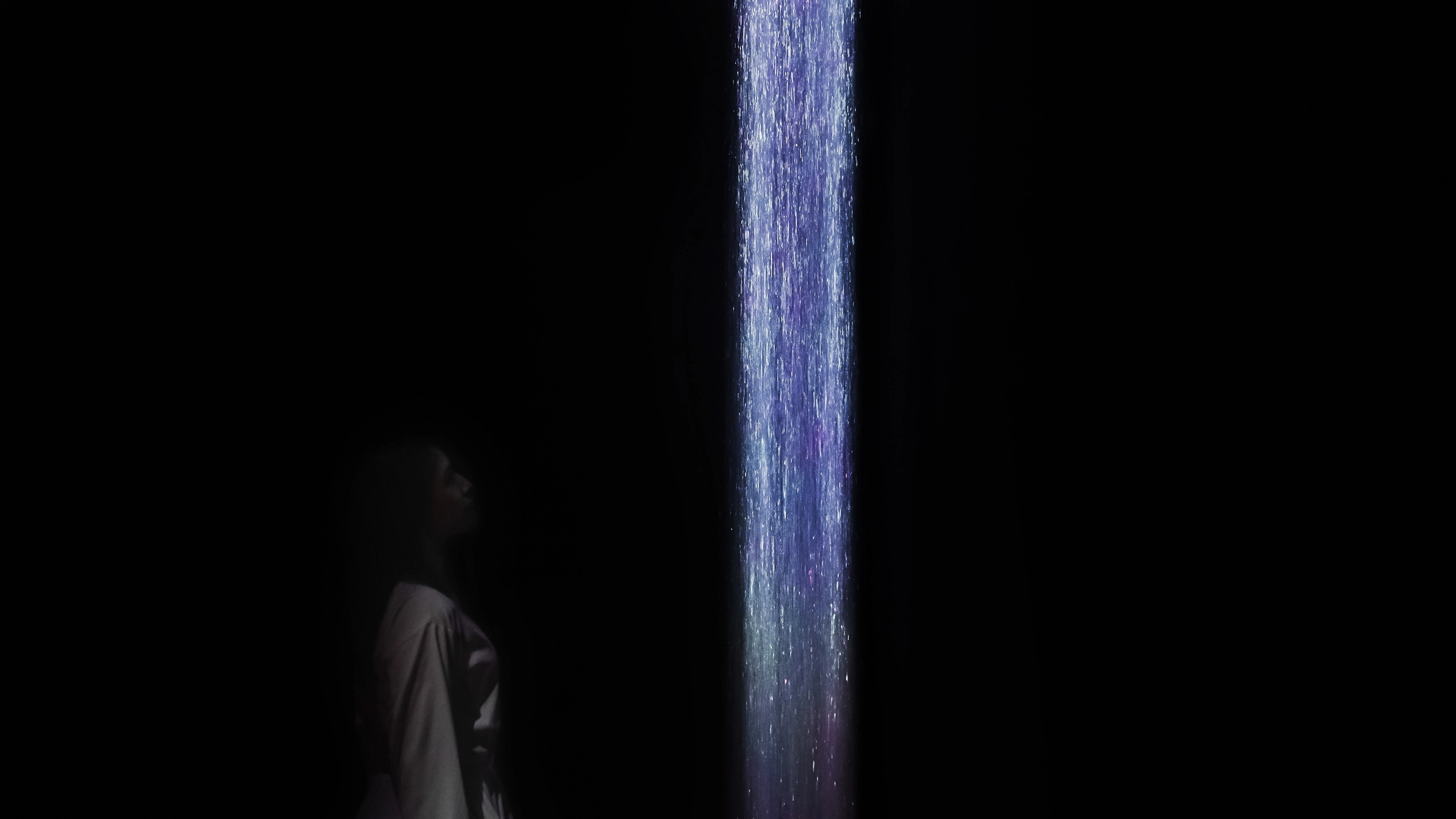 teamLab Phenomena Abu Dhabi | teamLab