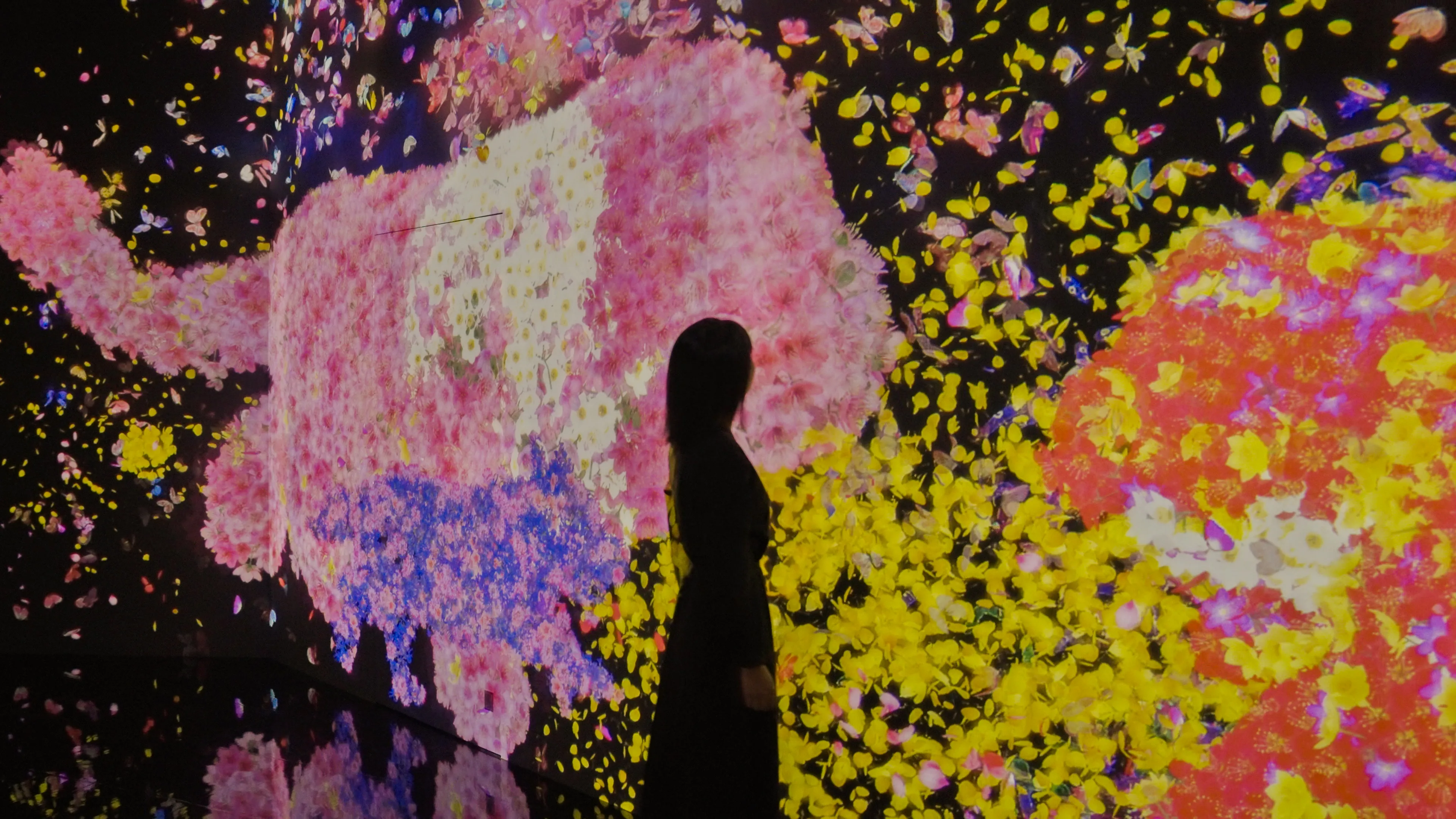 Animals of Flowers, Symbiotic Lives - A Whole Year per Year | teamLab