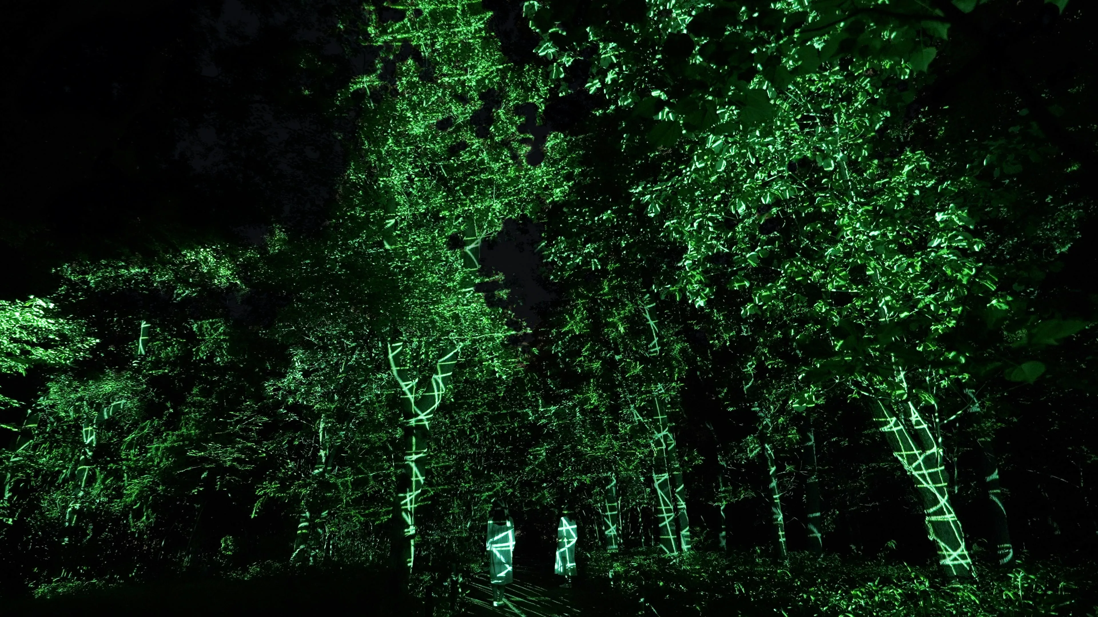 teamLab Botanical Garden Osaka | teamLab