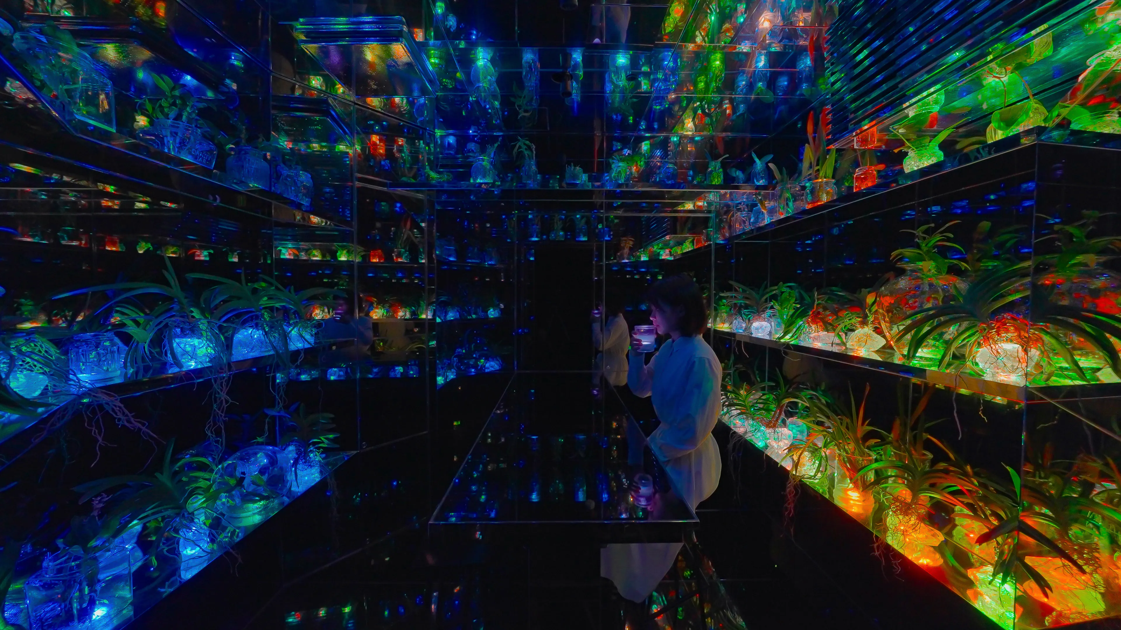 Nursery Lamps in Spontaneous Order | teamLab