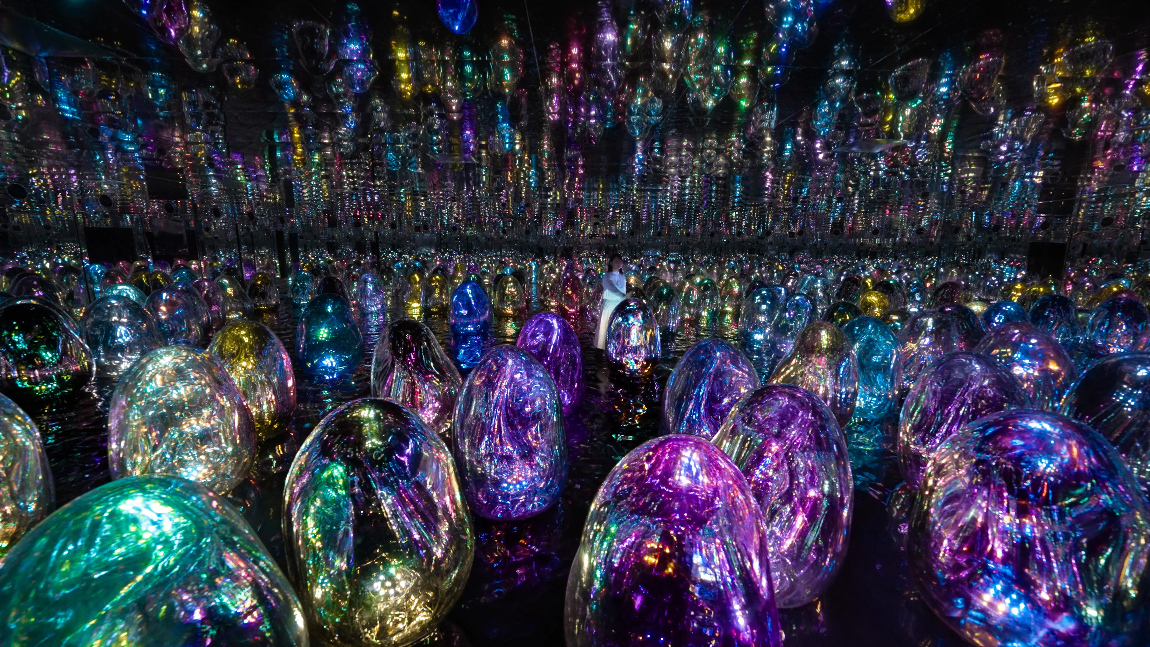 teamLab Phenomena Abu Dhabi | teamLab