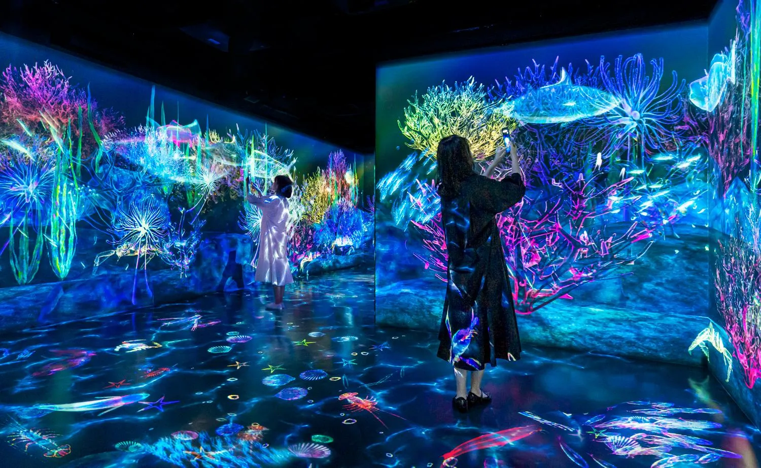 Galaxy & teamLab: Catching and Collecting in the Sea of Life | teamLab
