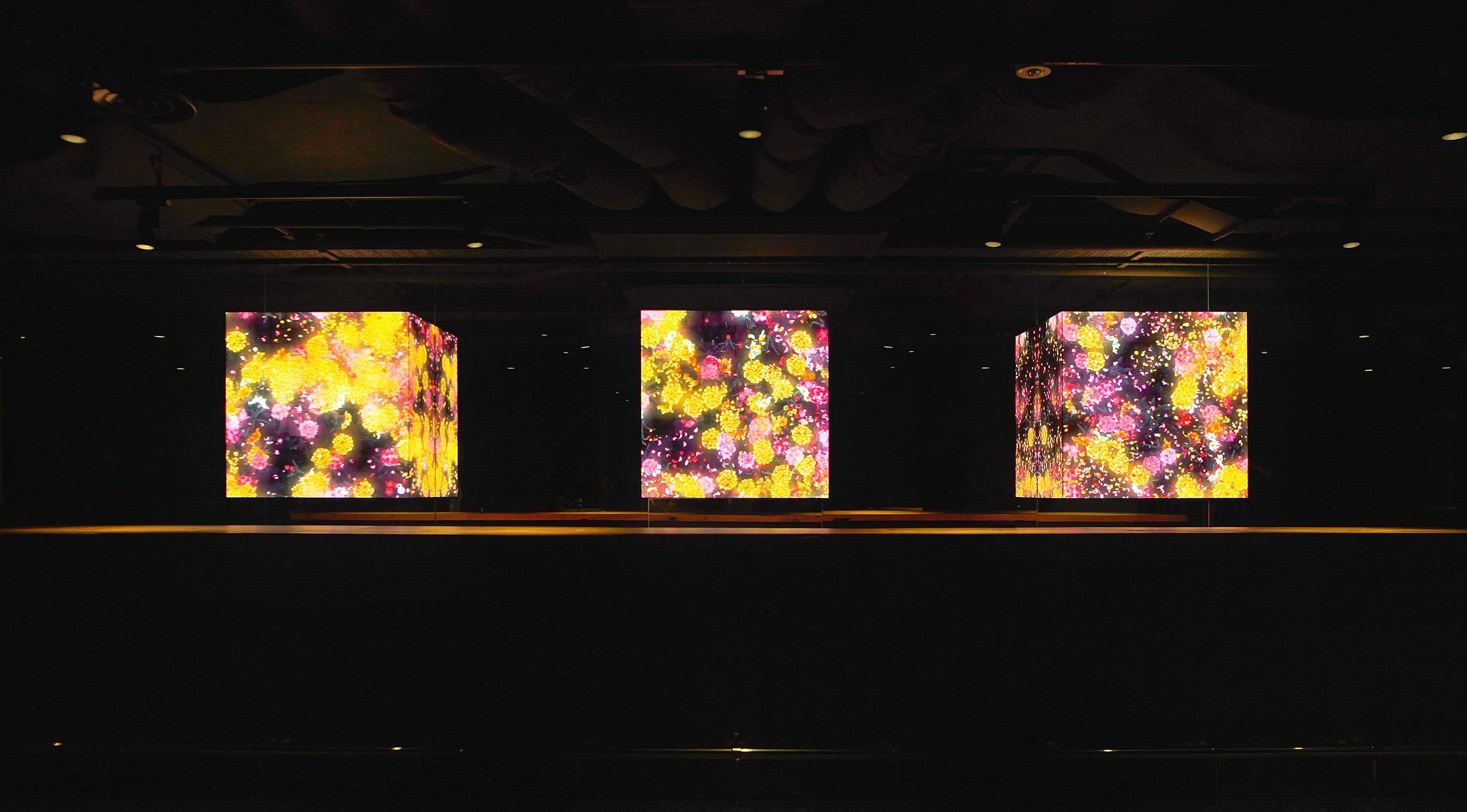 Continuous Life in Cubes of Light - Copper | teamLab
