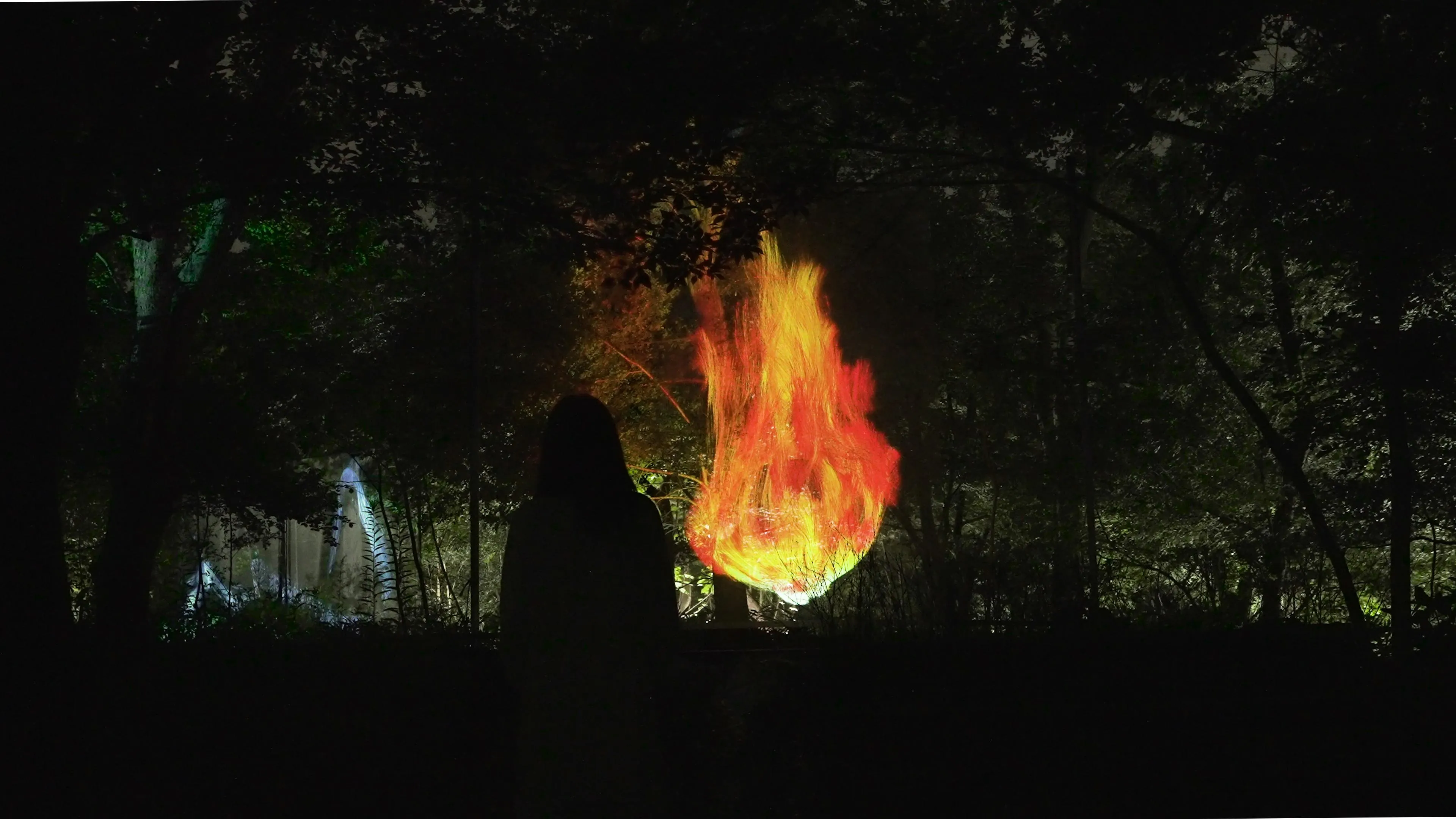 森林里的焰粒子世界 —— 二次林 / Universe of Fire Particles in the Forest - Secondary ...