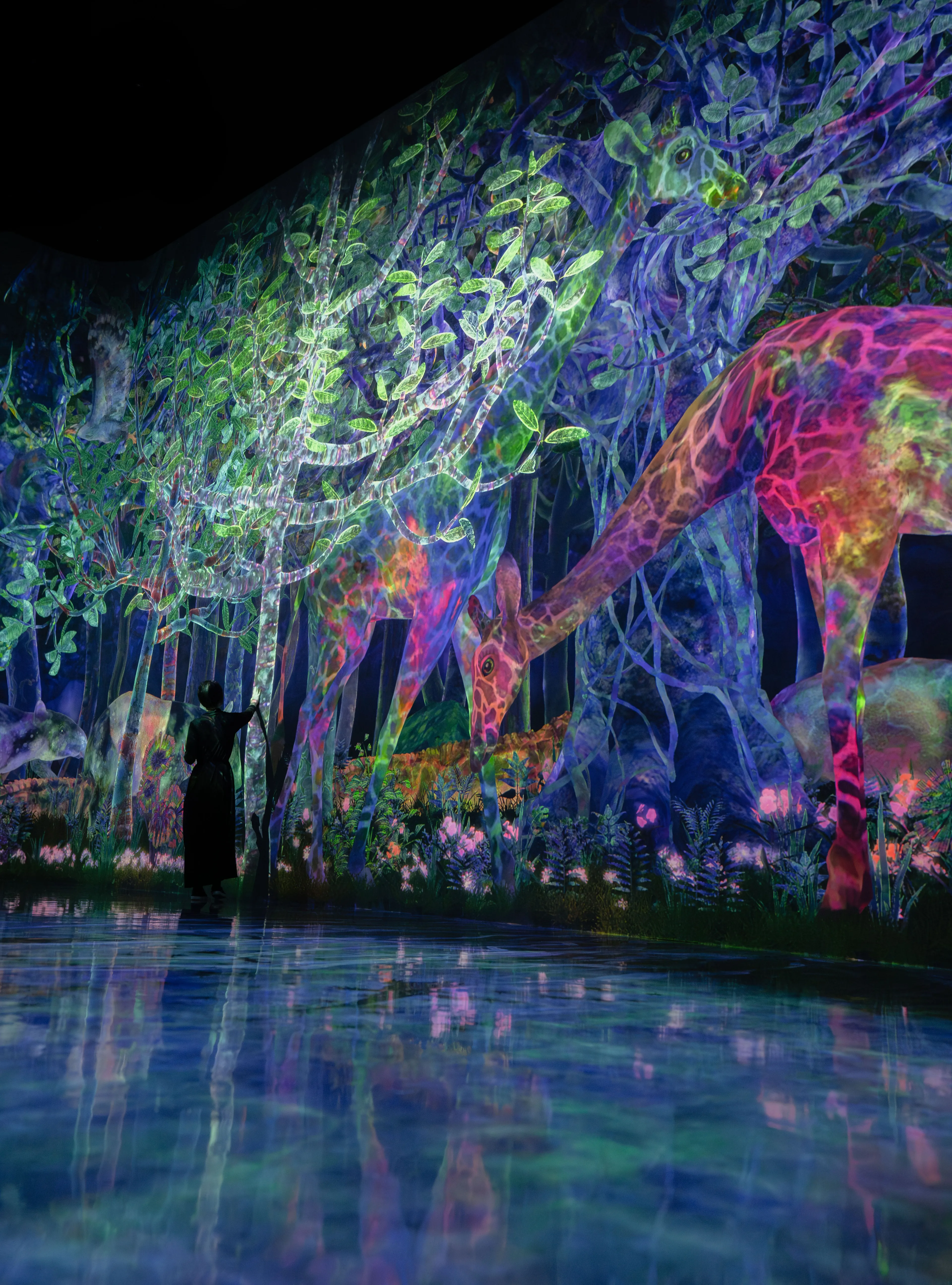 [官方] teamLab Planets TOKYO, 丰洲, 东京