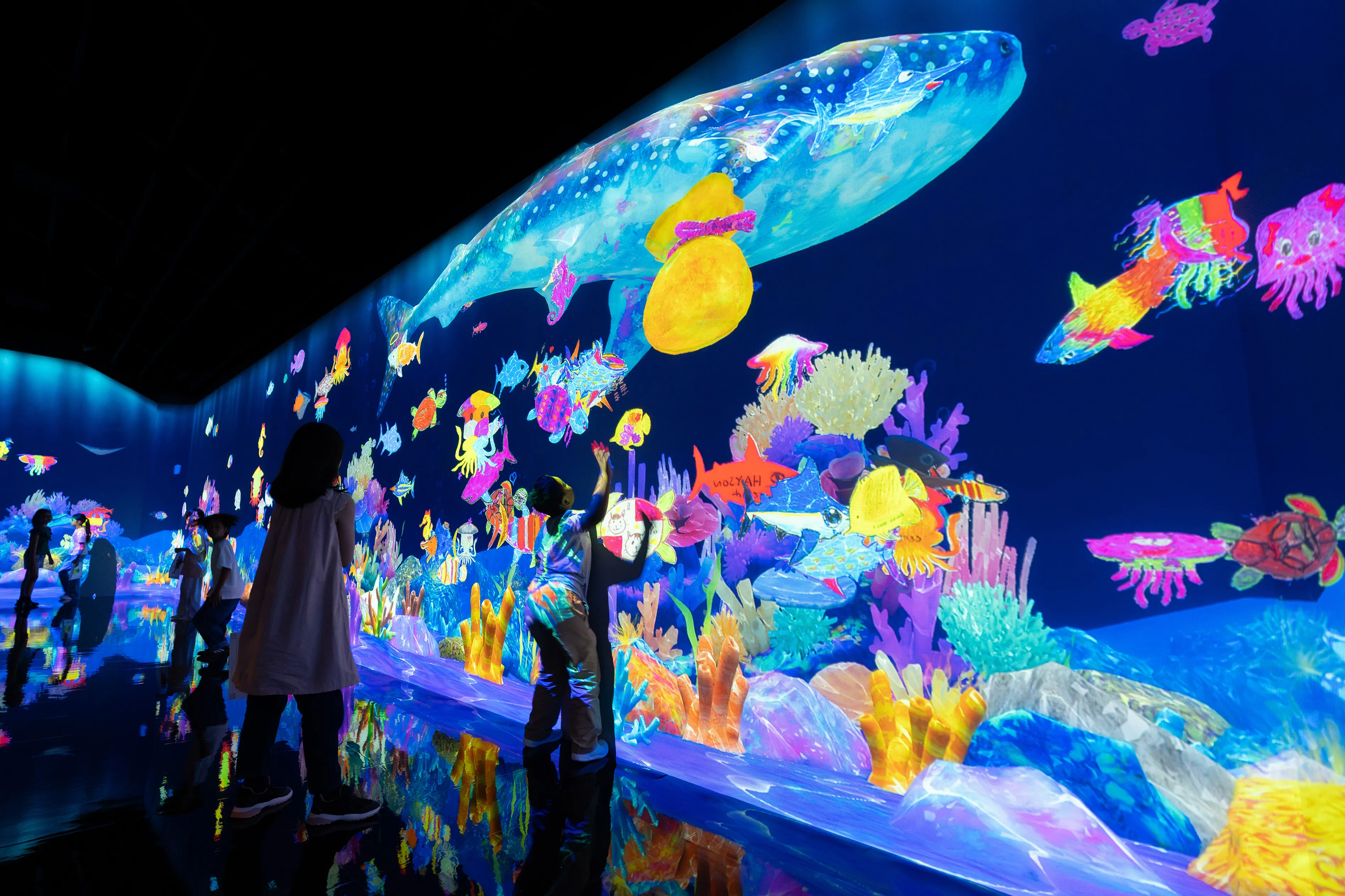Sketch Ocean | teamLab