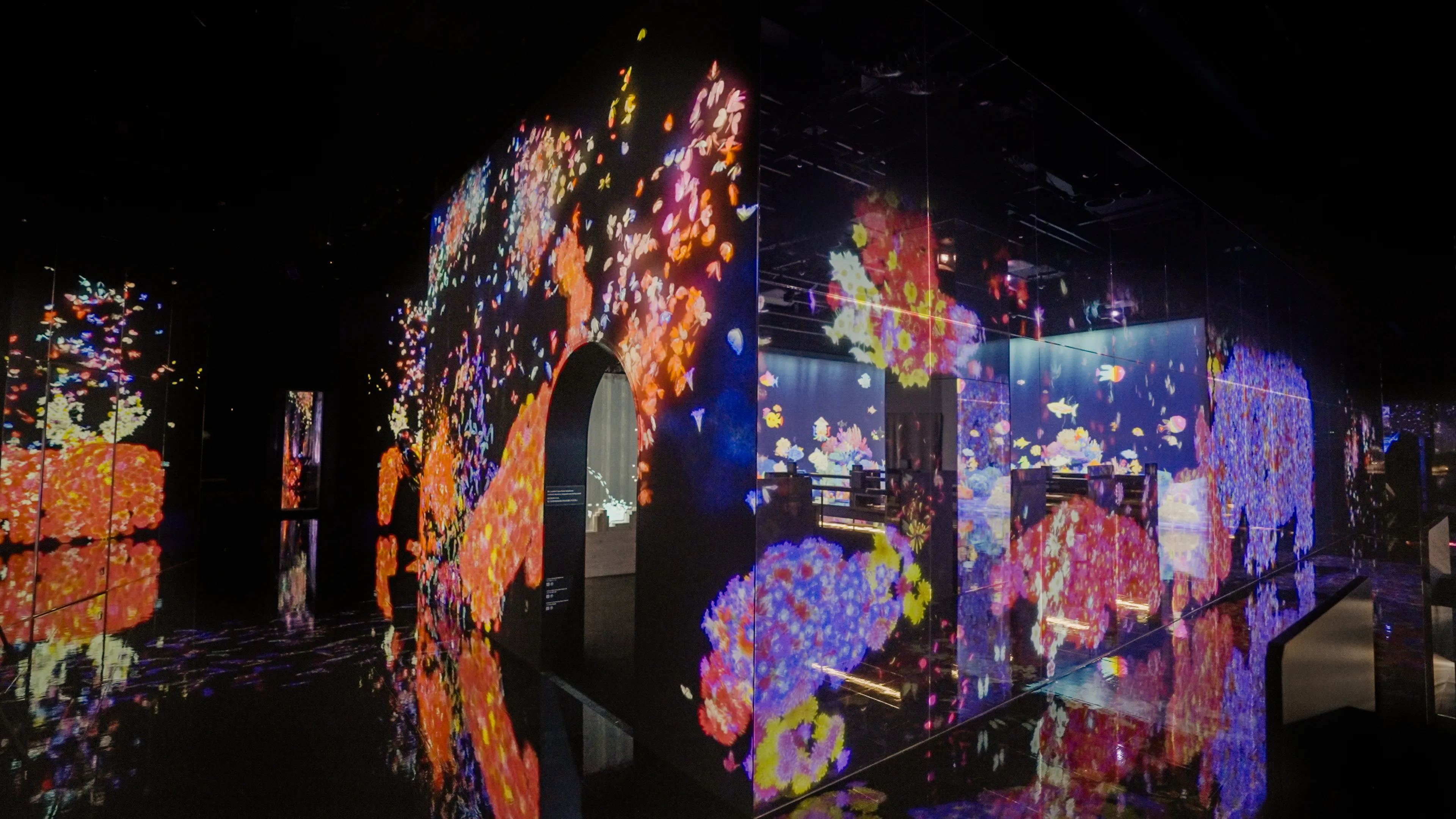 Animals of Flowers, Symbiotic Lives - A Whole Year per Year | teamLab