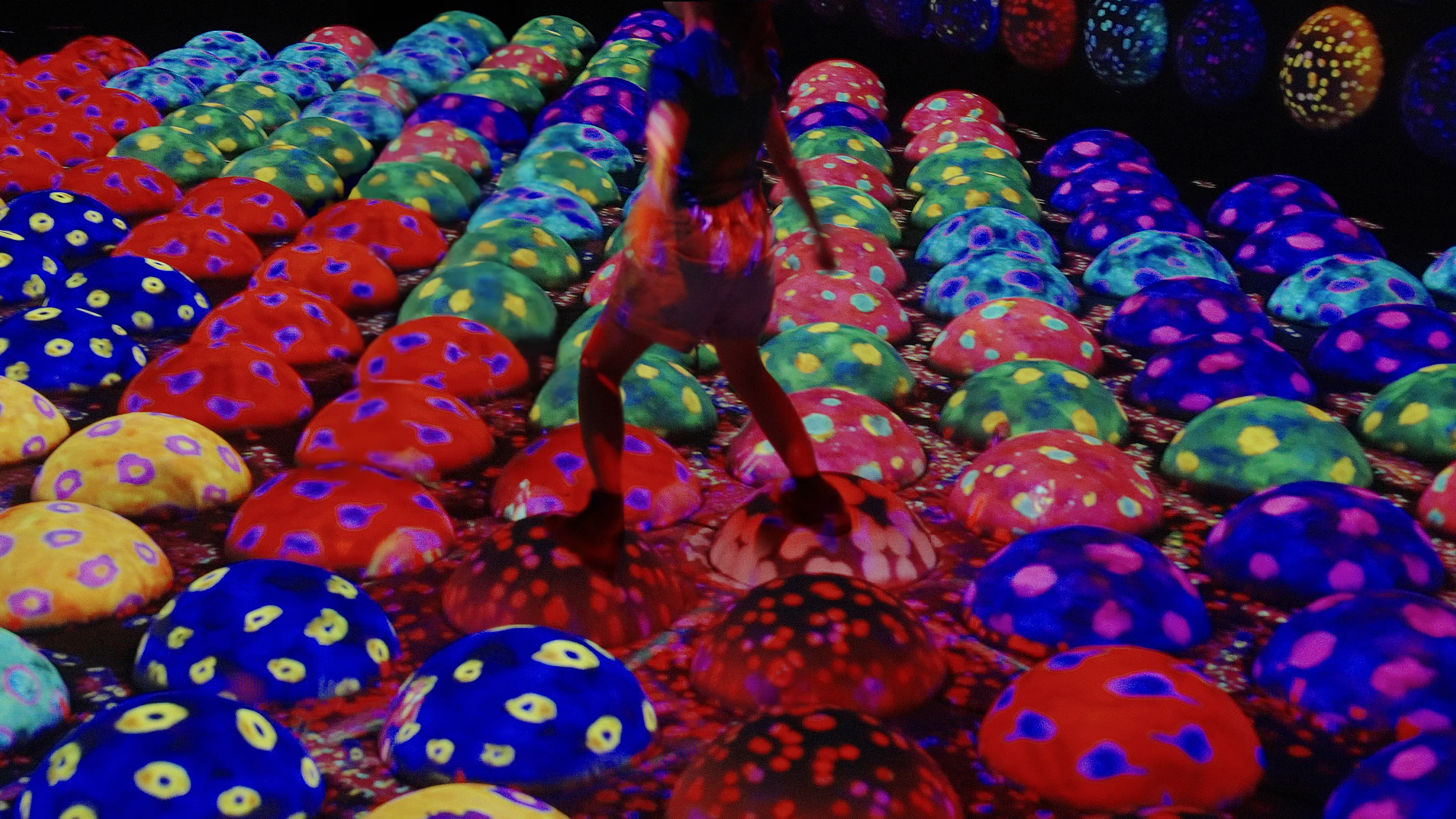 Rapidly Rotating Bouncing Spheres in the Caterpillar House | teamLab