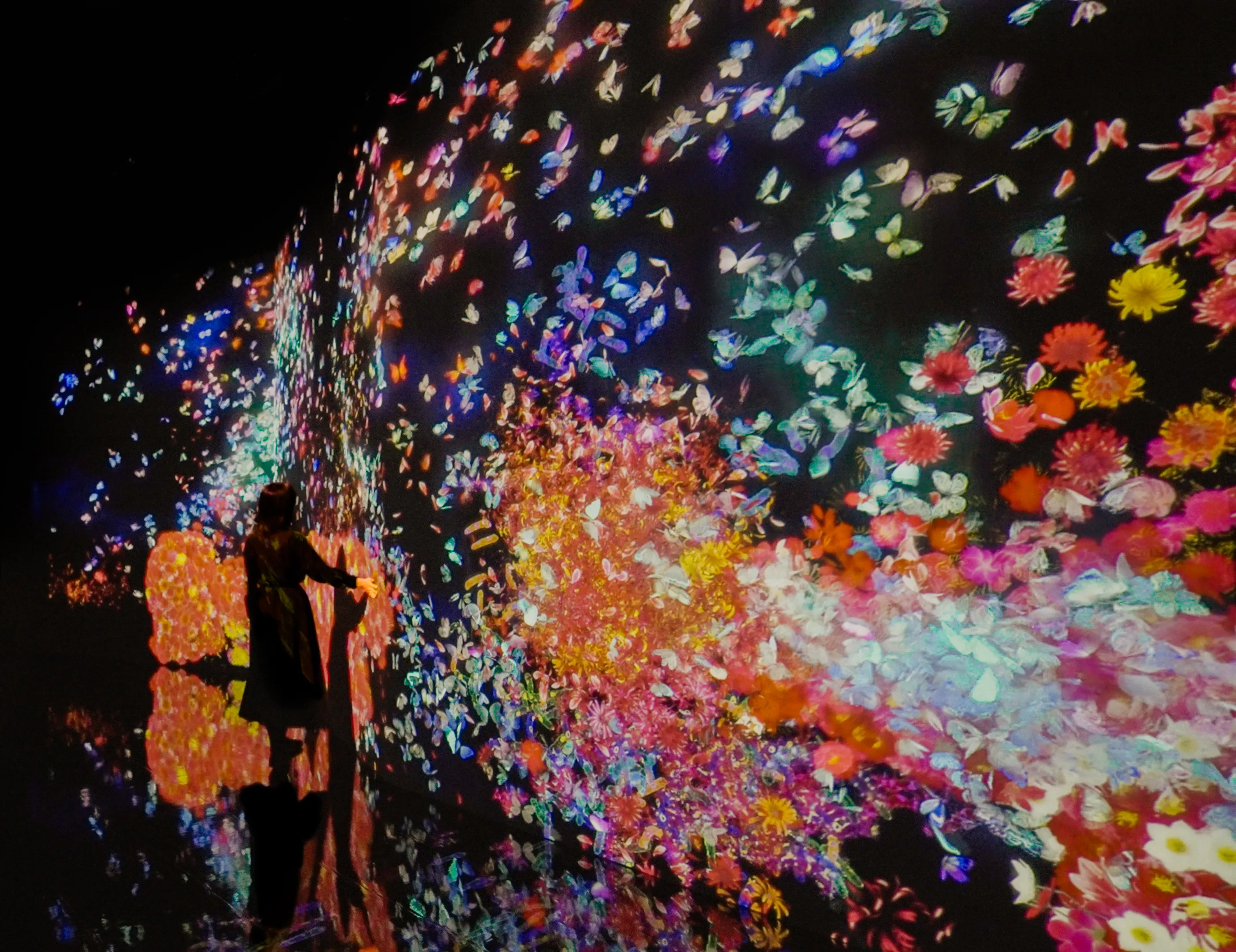 Flutter of Butterflies from the Caterpillar House | teamLab