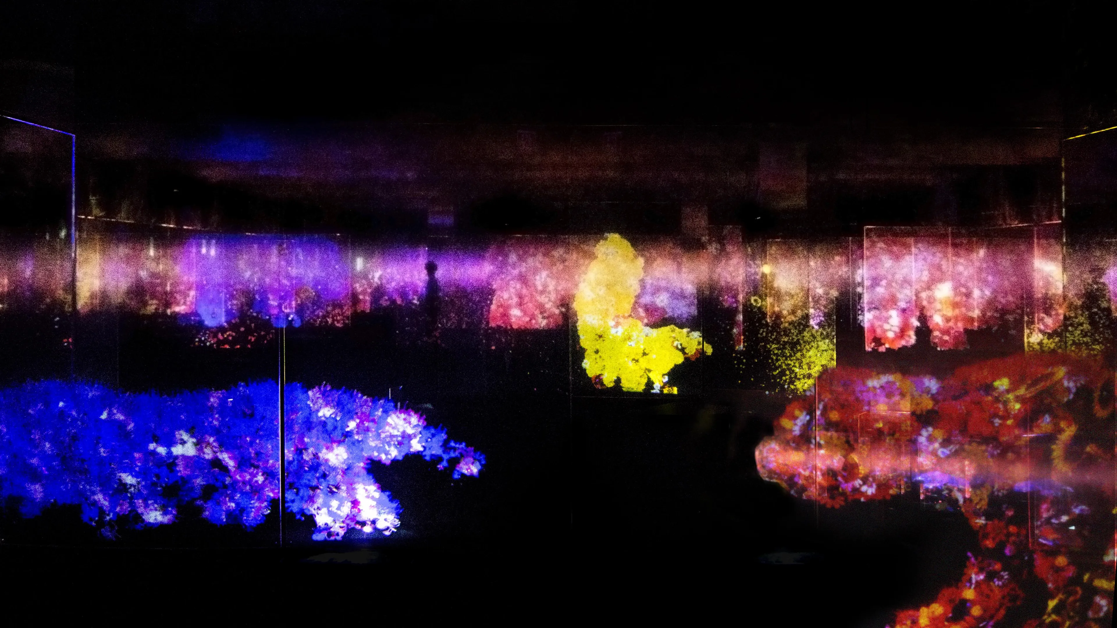 与花共生的动物们 / Animals of Flowers, Symbiotic Lives | teamLab
